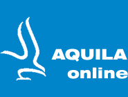 Access to Aquila On-Line